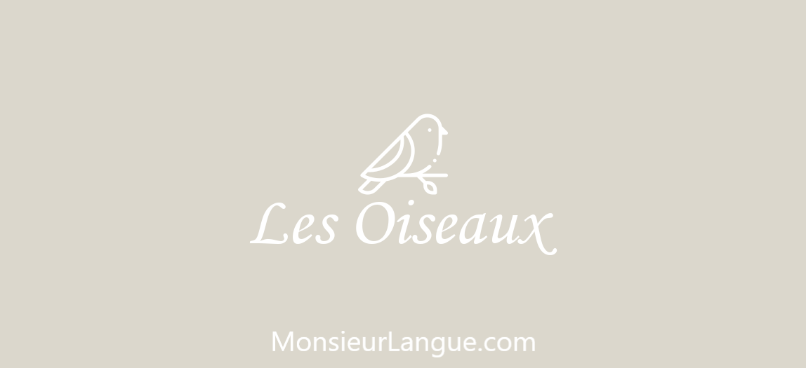 フランス語の鳥の名前 – Les Oiseaux | Monsieur Langue