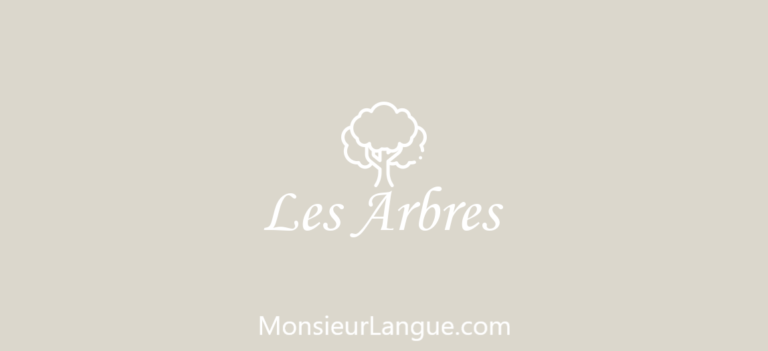 フランス語の木の名前一覧 – Les Arbres | Monsieur Langue